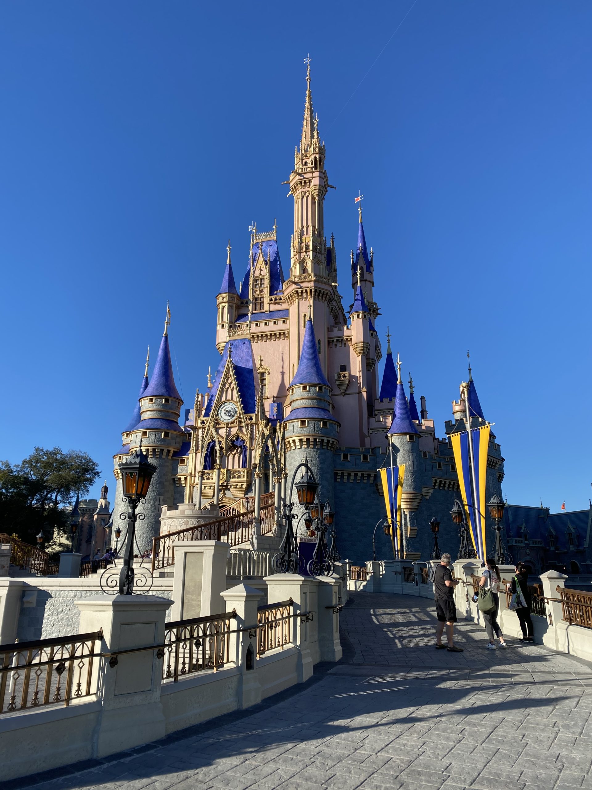 What is it like in Walt Disney World RIGHT NOW? - Leisure Tours and Cruises
